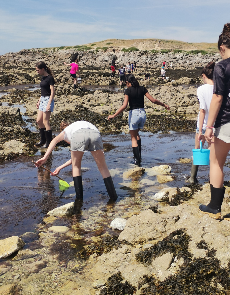 Agenda découverte de l'estran et de la pêche à pied - Incroyables Chemins